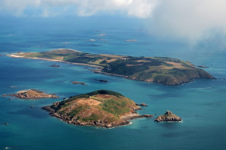 Herm - Virtual Bunch