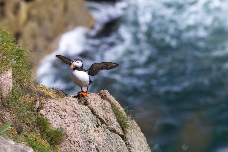Picture Perfect Panoramas On Island Of Jethou - Virtual Bunch