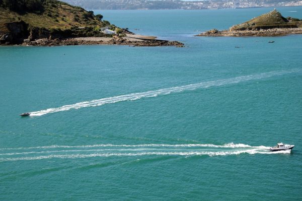 Jethou - Virtual Bunch