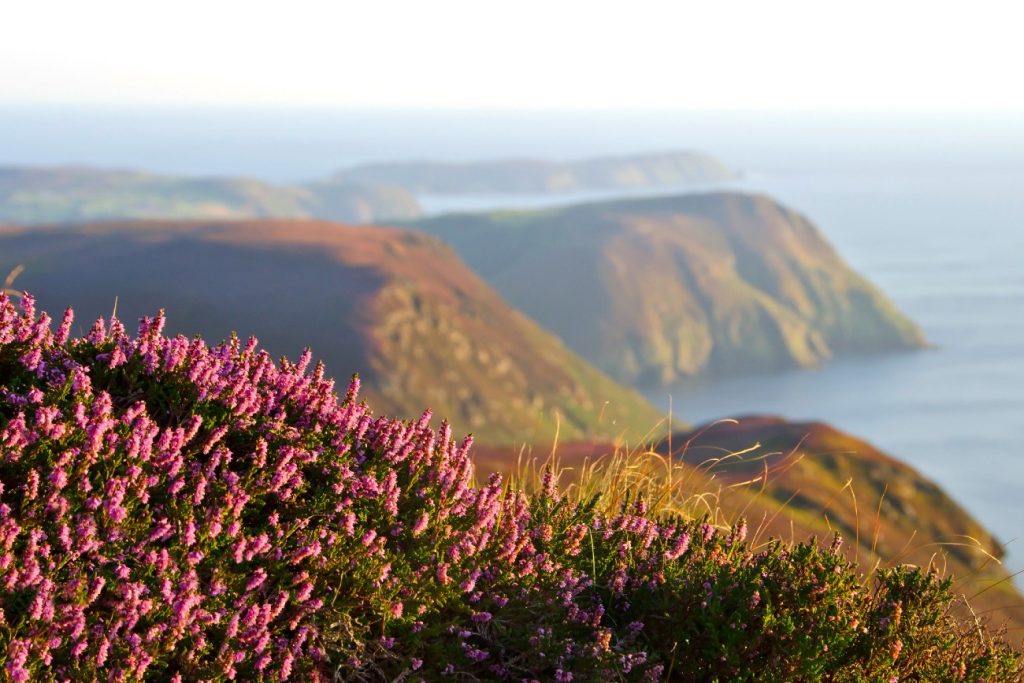 A View Of Six Kingdoms – Snaefell Mountain, Isle of Man - Virtual Bunch