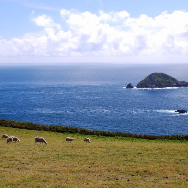 Adventures on the island of Sark - Virtual Bunch