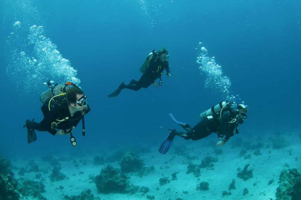 Discover the Best Scuba Diving in the UK Channel Islands - Virtual Bunch