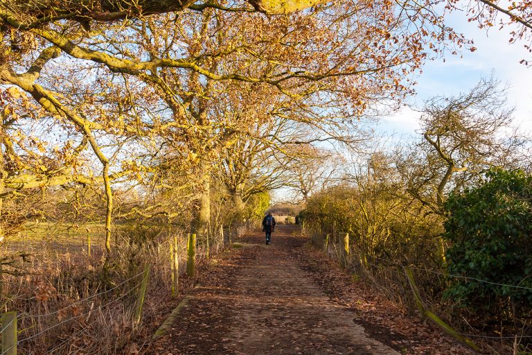 5 Reasons to Visit Guernsey in Winter - Virtual Bunch