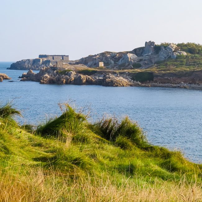 Working and living on Guernsey Island - Virtual Bunch