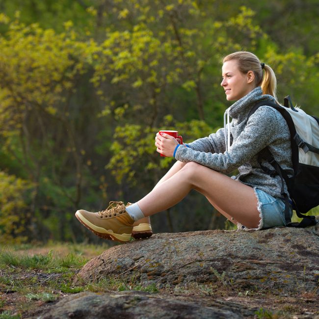 Guide to Viewing Iconic Puffins in the Channel Islands - Virtual Bunch